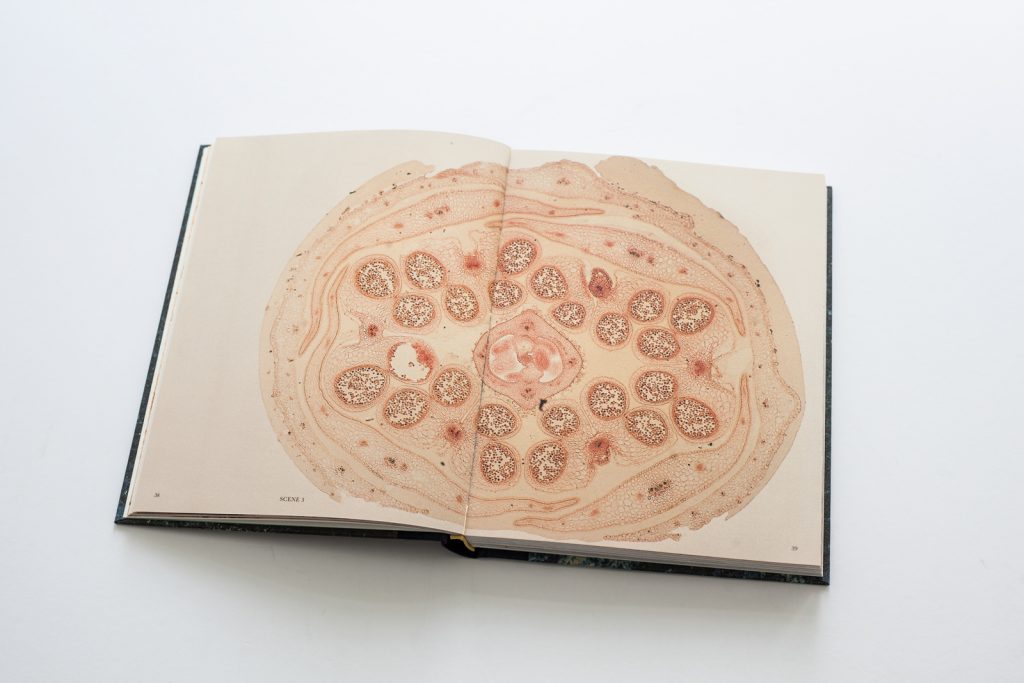 The Whale’s Eyelash: A Play in Five Acts – Timothy Prus – Archive of ...