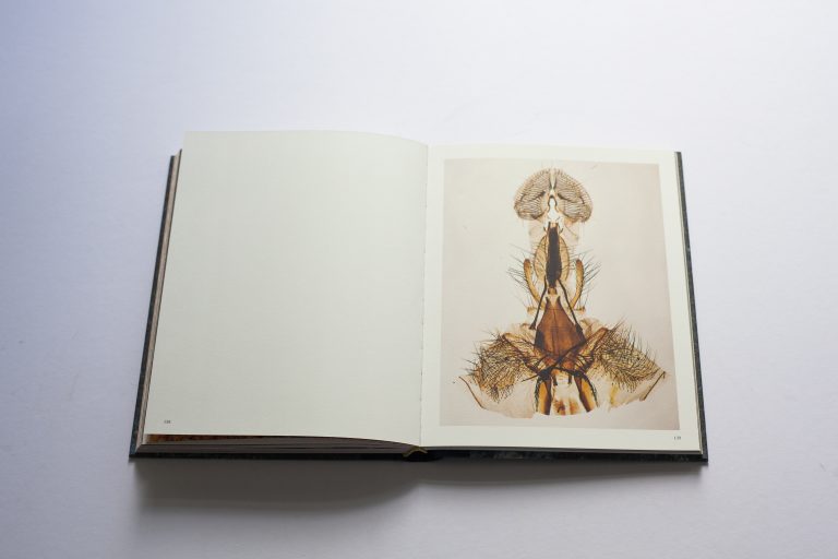 The Whale’s Eyelash: A Play in Five Acts – Timothy Prus – Archive of ...